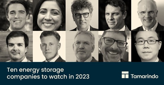 Ten energy storage companies to watch in 2023 – KX Power